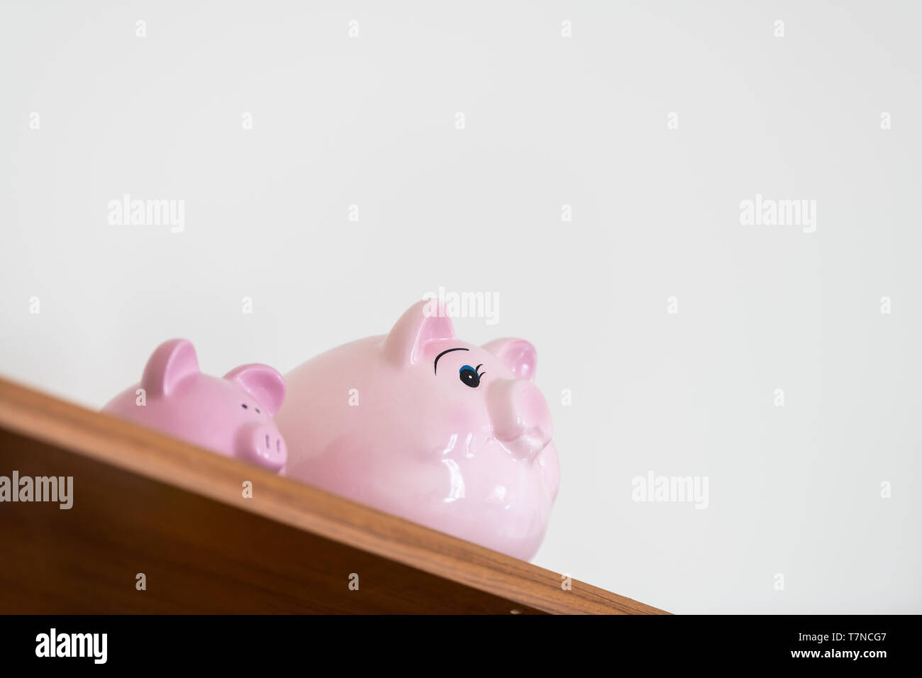 Piglet interior hi-res stock photography and images - Alamy