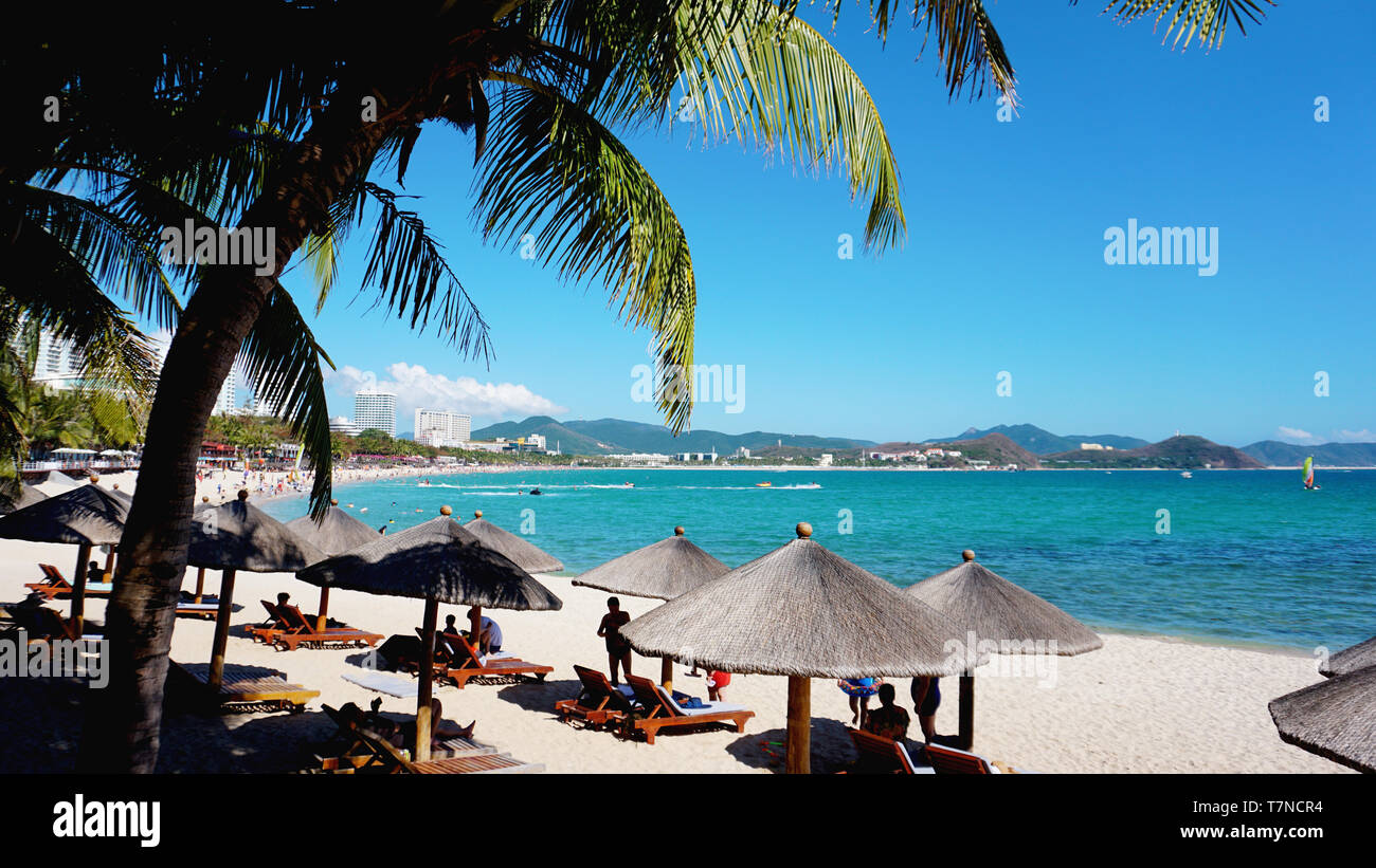 Chairs And Umbrella In Palm Beach - Tropical Holiday Banner - China ...