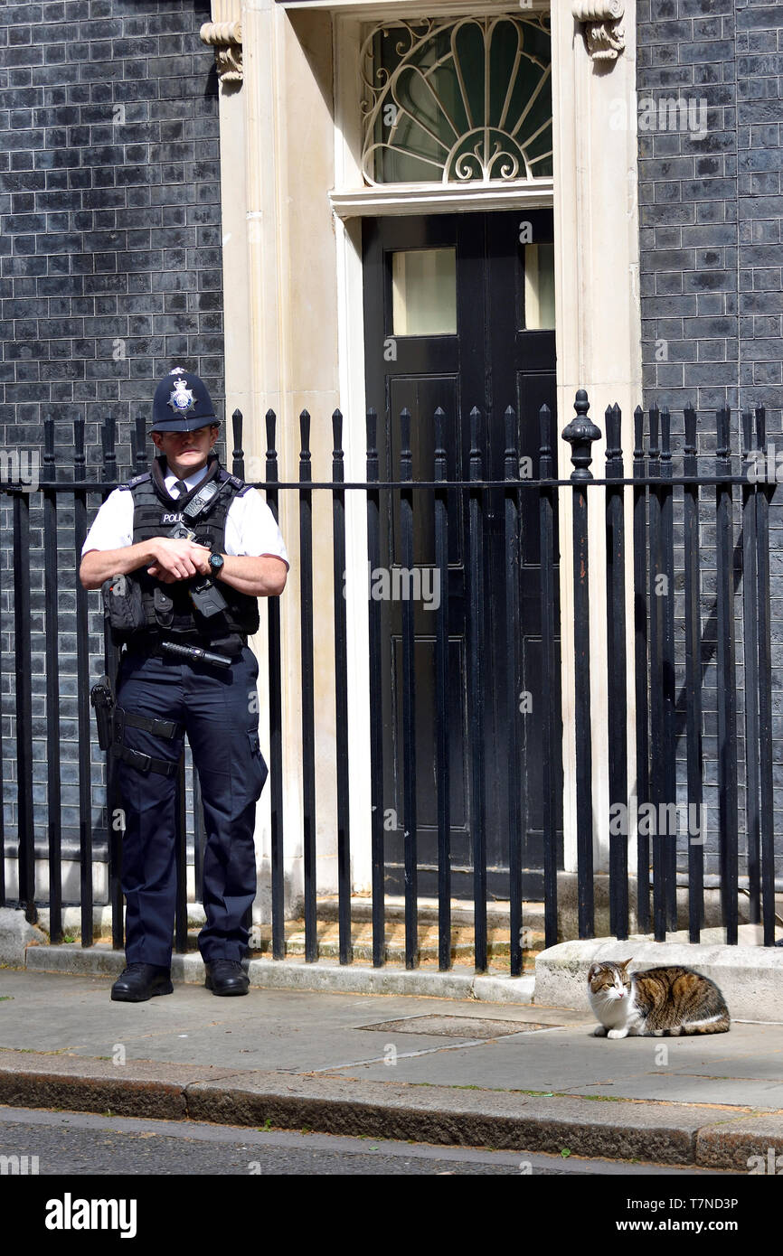 Chief mouser larry 10 downing police hi-res stock photography and ...