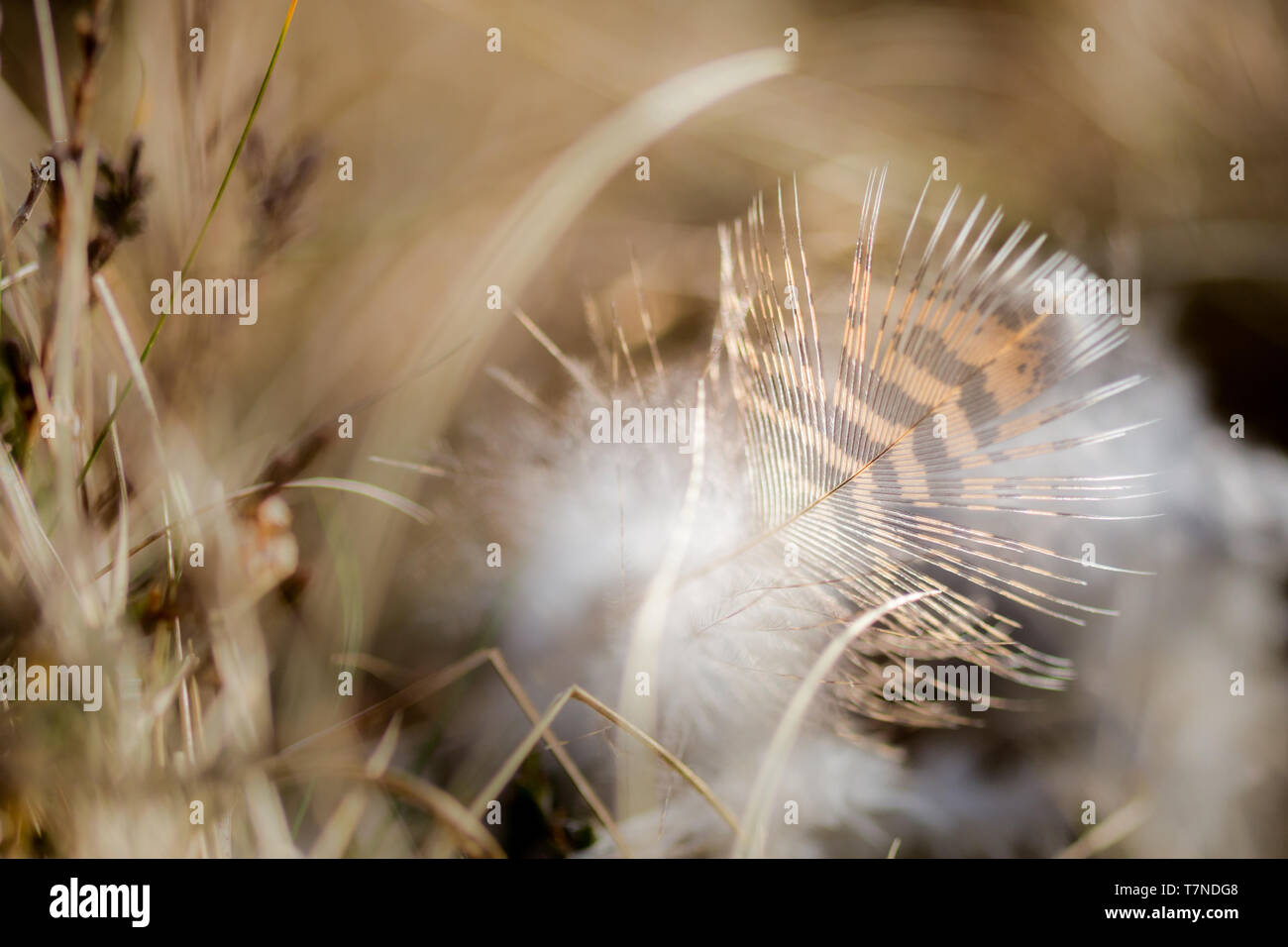 Views and images from hiking the end of the Pennine Way across open ...