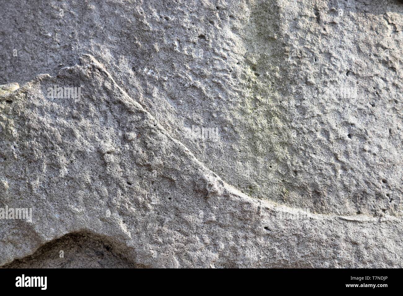 Close up surface of concrete and cements wall texture with some color ...