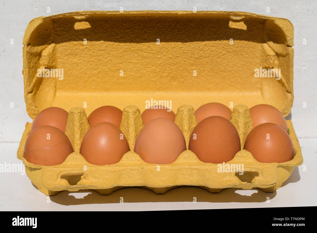 Ten eggs per pack. Tray with eggs Stock Photo - Alamy