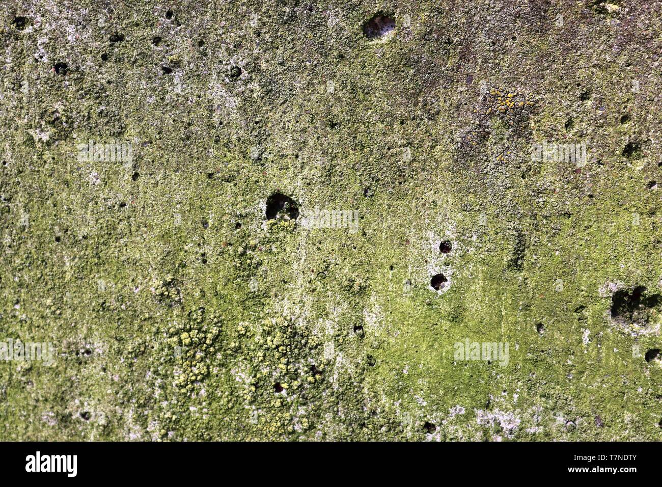 Close up surface of concrete and cements wall texture with some color ...