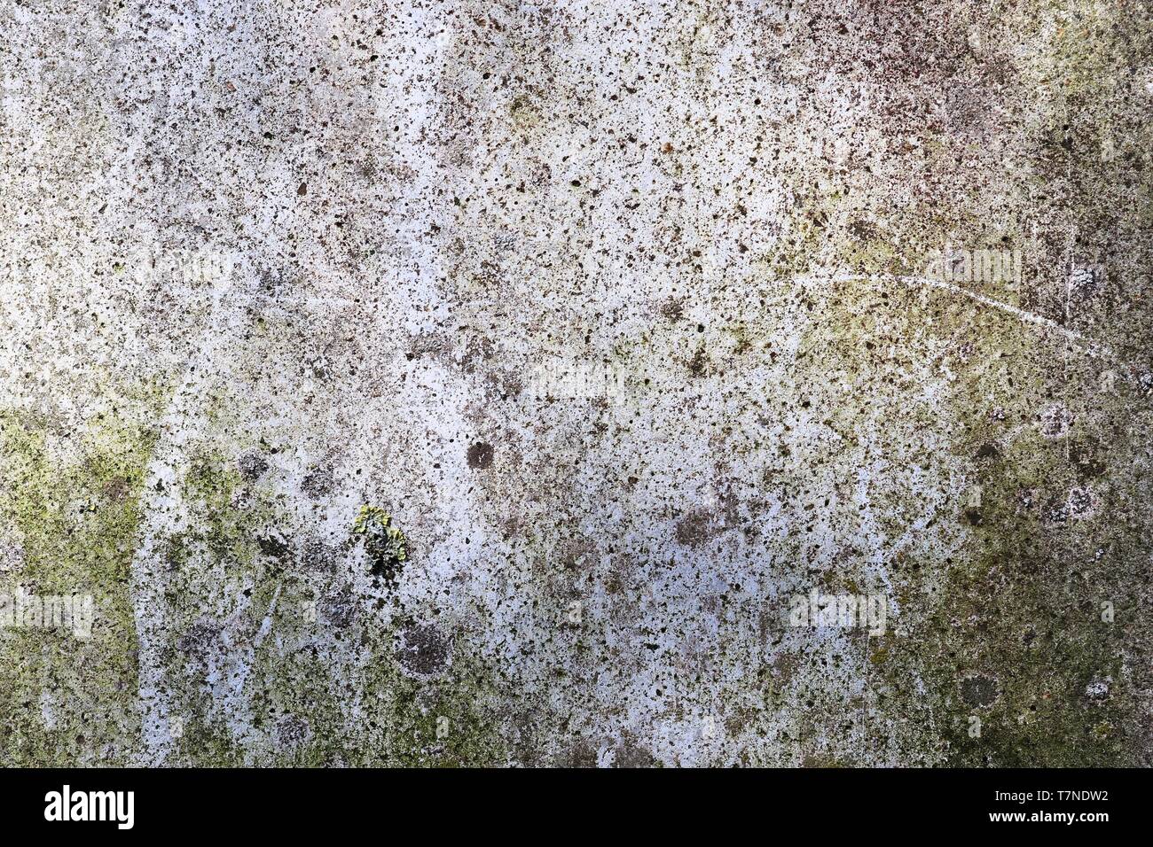 Close up surface of concrete and cements wall texture with some color ...