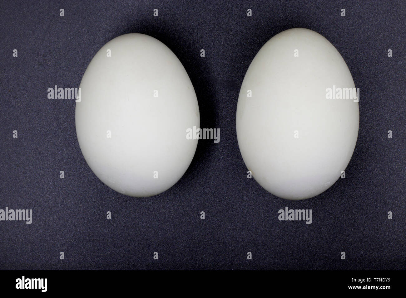 preserved duck eggs isolated on black background. High resolution image ...