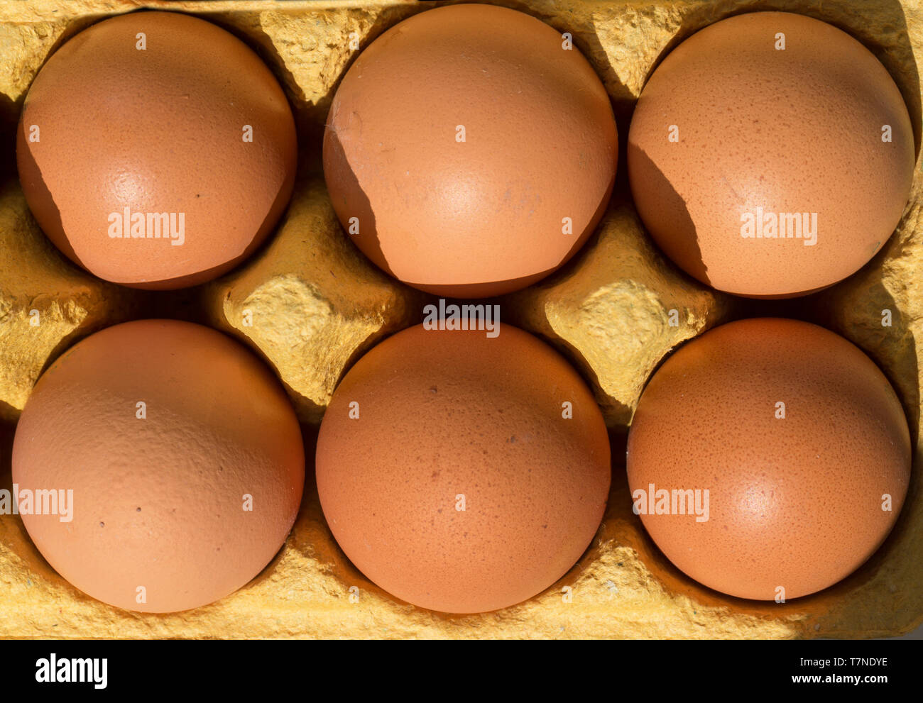 Corrugated shell hi-res stock photography and images - Alamy