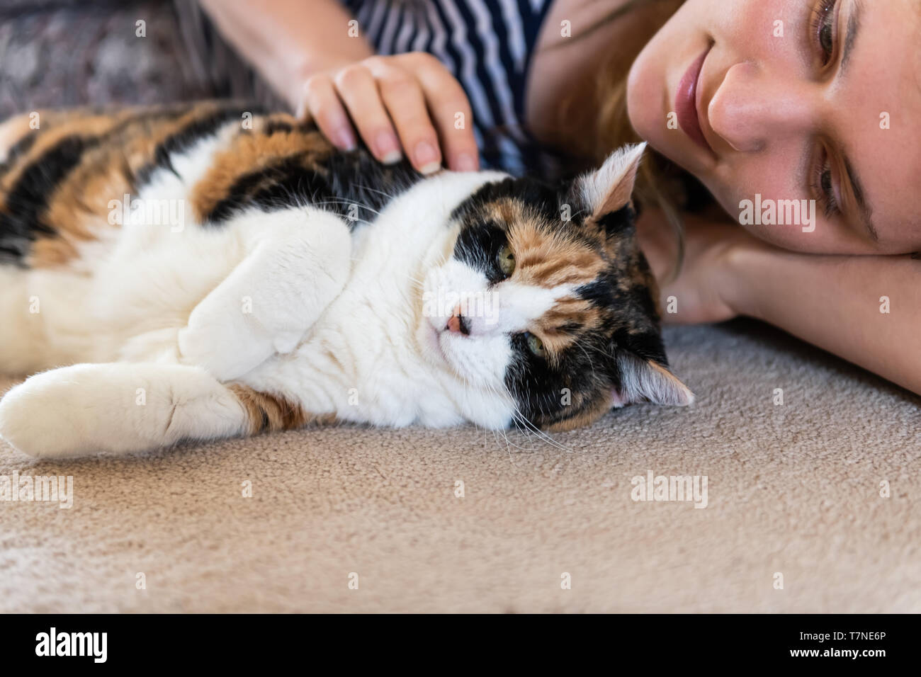 Human cat bonding hi-res stock photography and images - Alamy