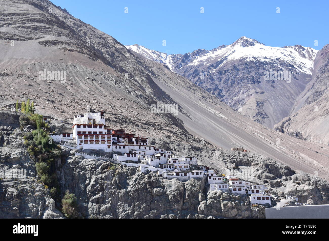 Life on the Cliff Stock Photo - Alamy