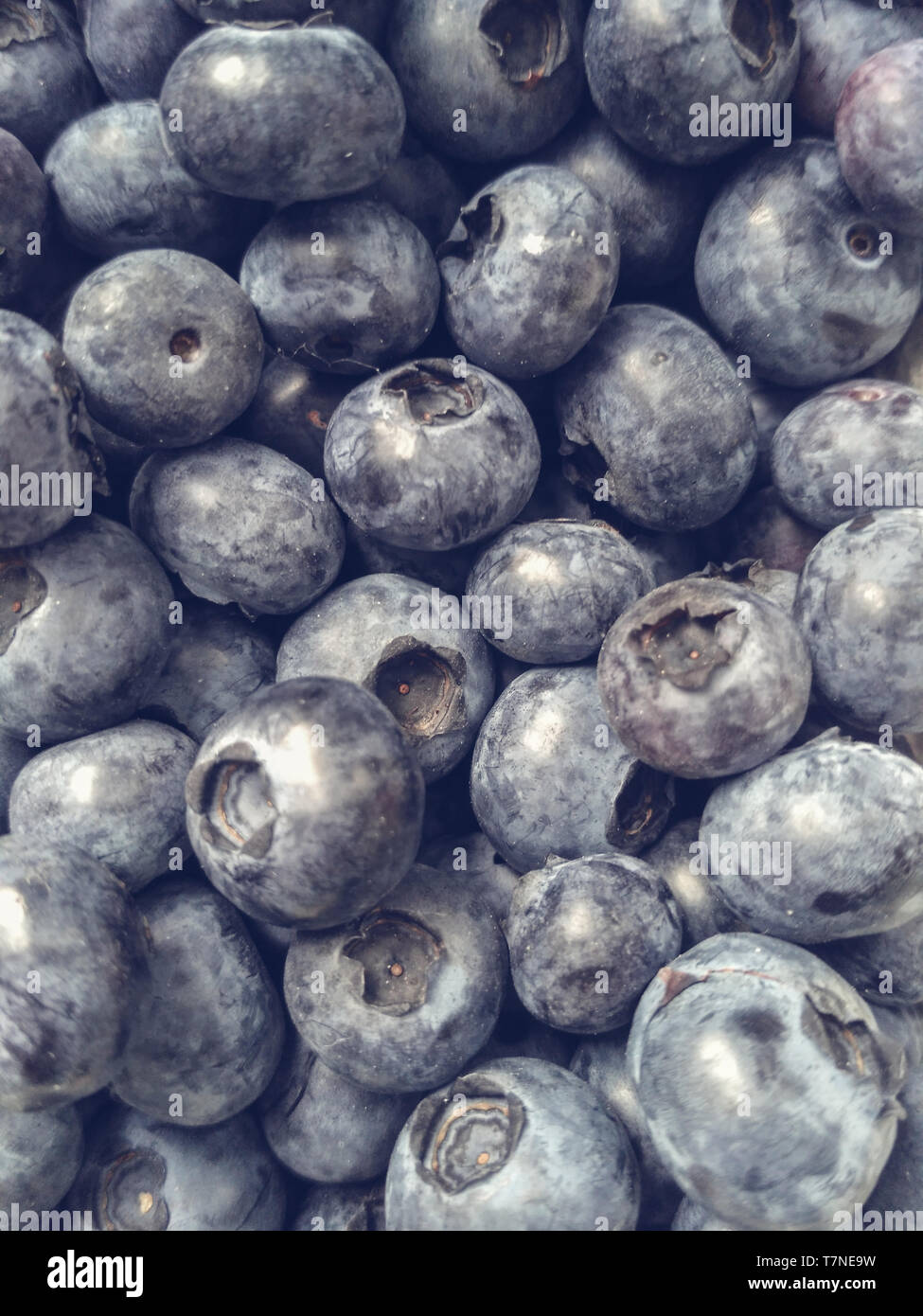 Fresh blueberry background. Texture blueberry berries close up Stock ...