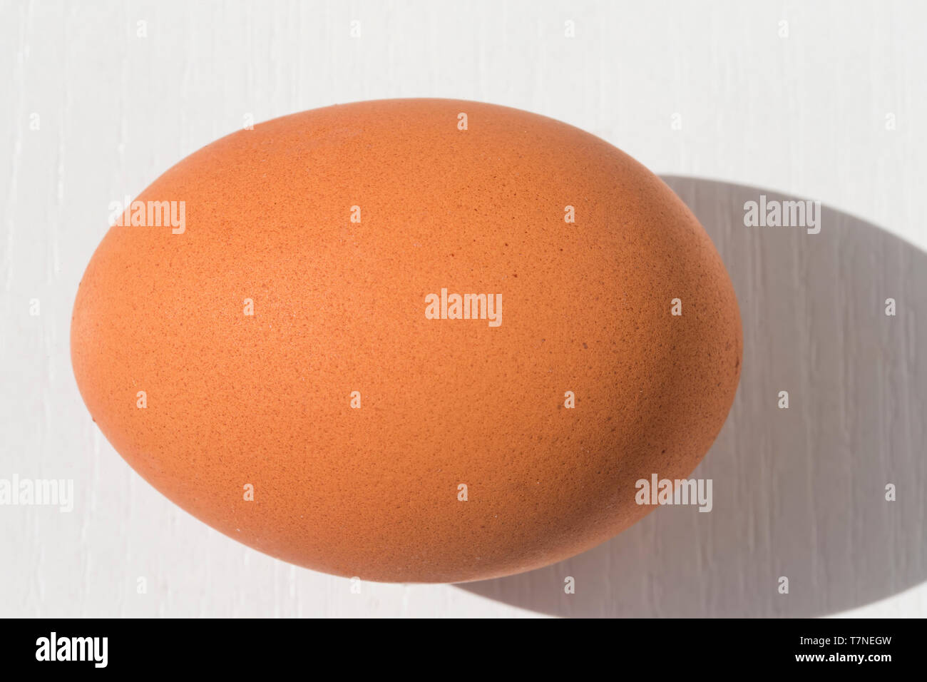 Egg closeup with shadow Stock Photo - Alamy
