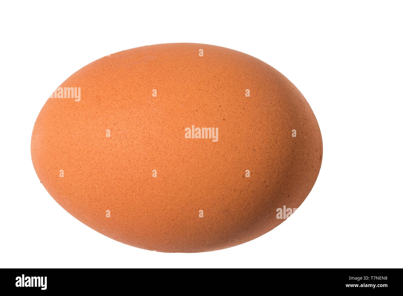 Egg close up on a white background Stock Photo - Alamy