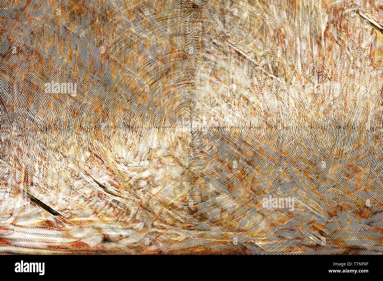 Colorful grunge or rough background overlay filter effect, for graphic ...