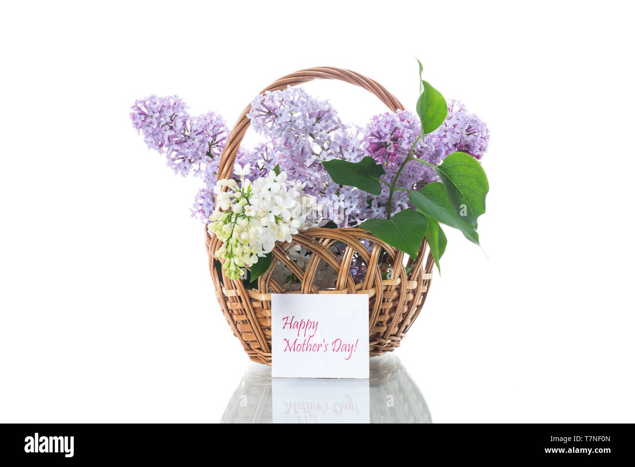 spring blooming bouquet of lilac isolated on white Stock Photo - Alamy