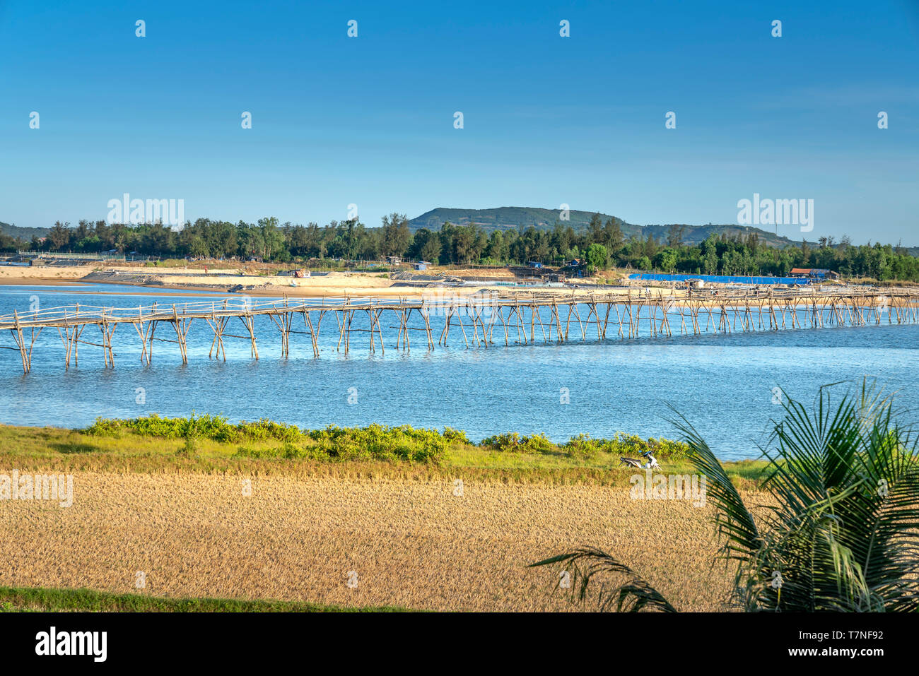 Ong Cop Bridge (Mr. Tiger's wooden bridge), Vietnam's longest wooden ...