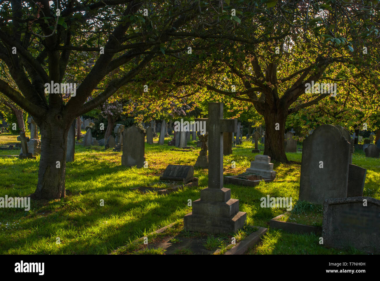 North sheen cemetery hi-res stock photography and images - Alamy