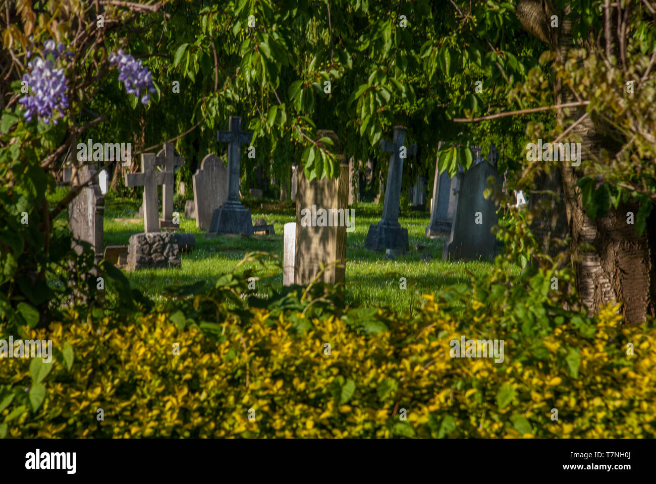 North sheen cemetery hi-res stock photography and images - Alamy