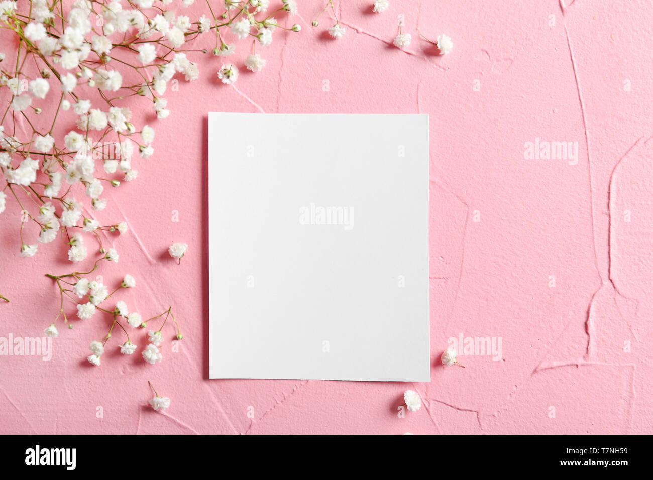 Blank card with flowers on color textured background Stock Photo - Alamy