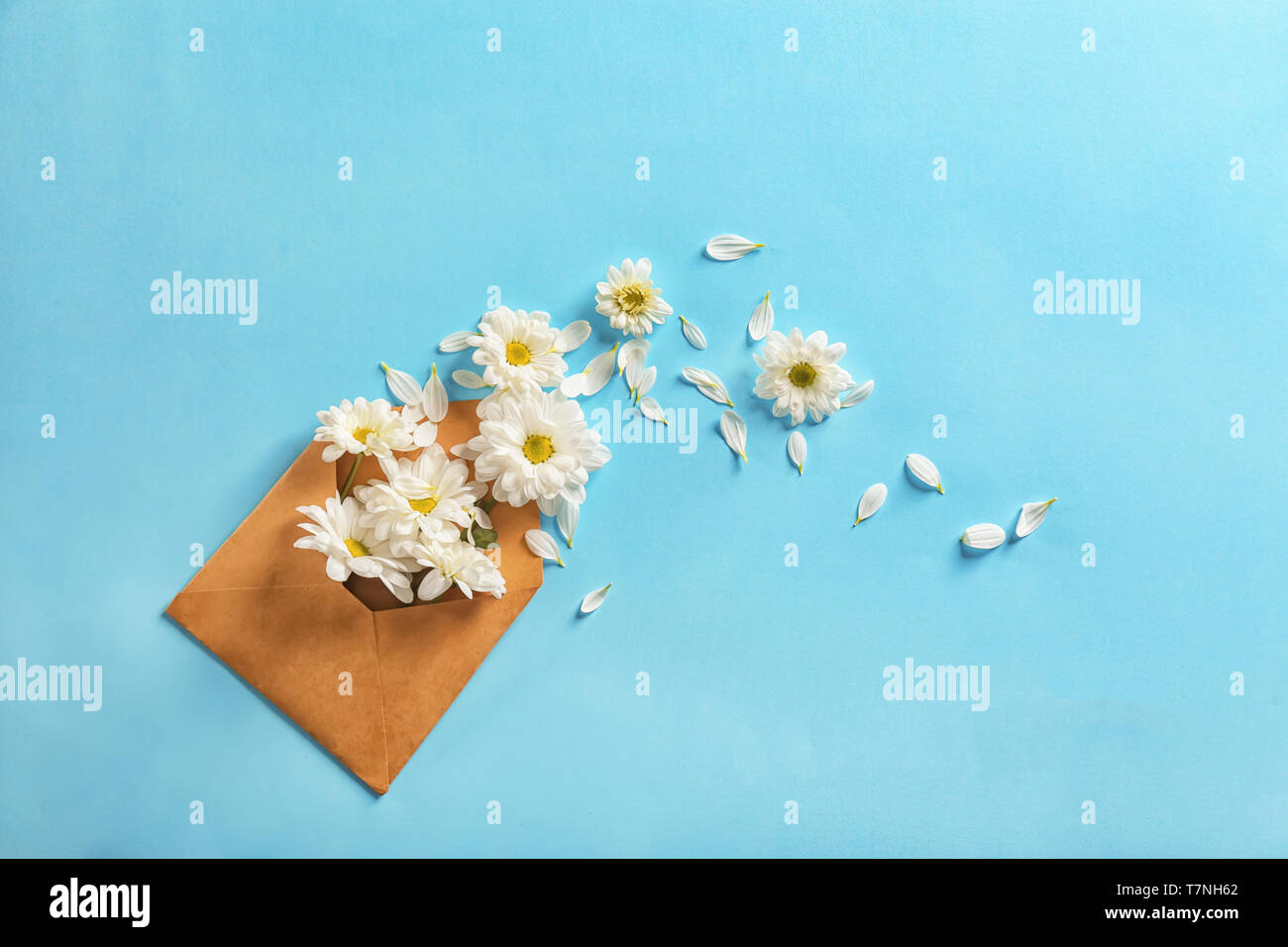 Open mail envelope with flowers on color background Stock Photo - Alamy