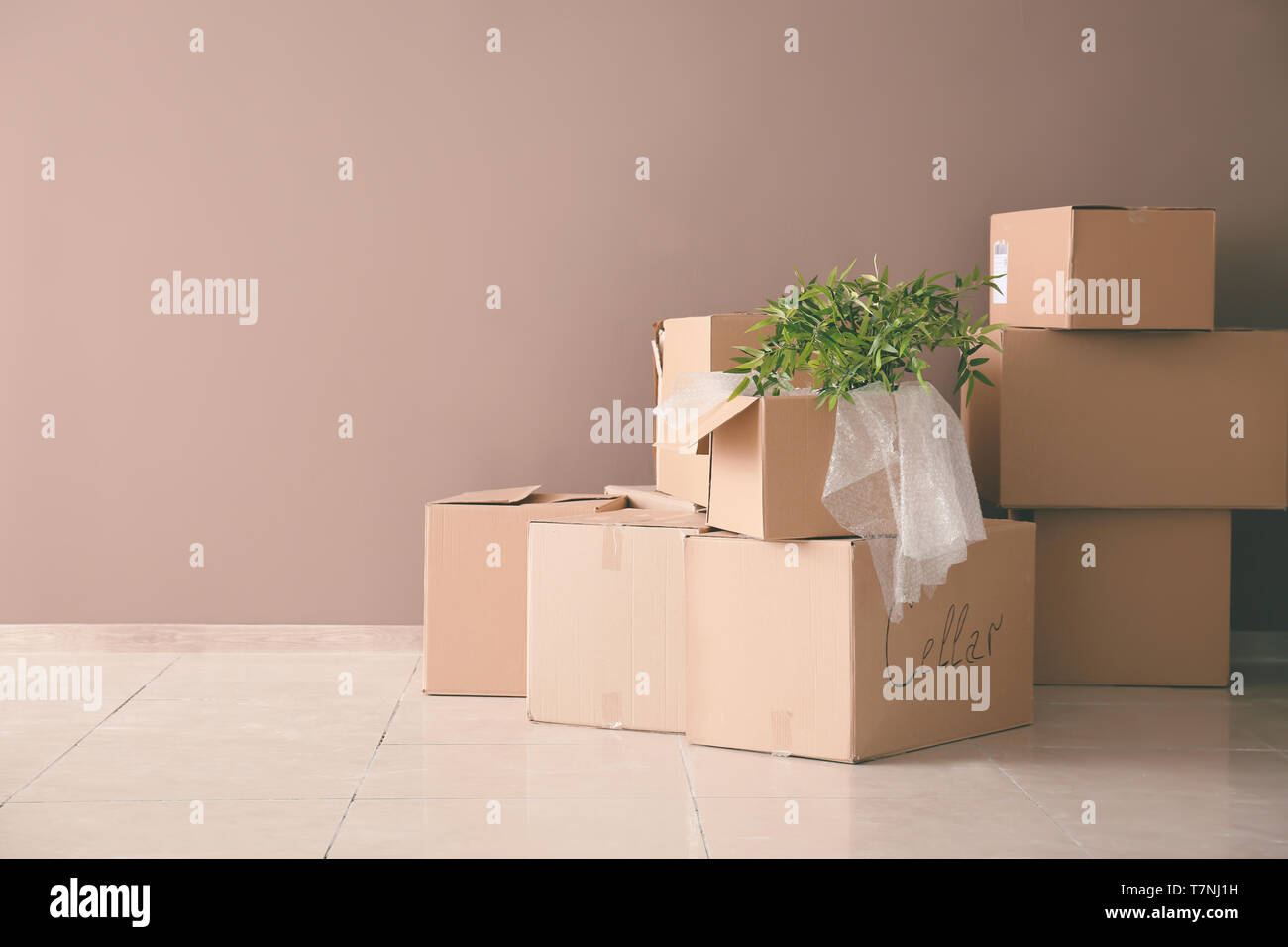 Packed carton boxes on floor near wall. Moving house concept Stock ...