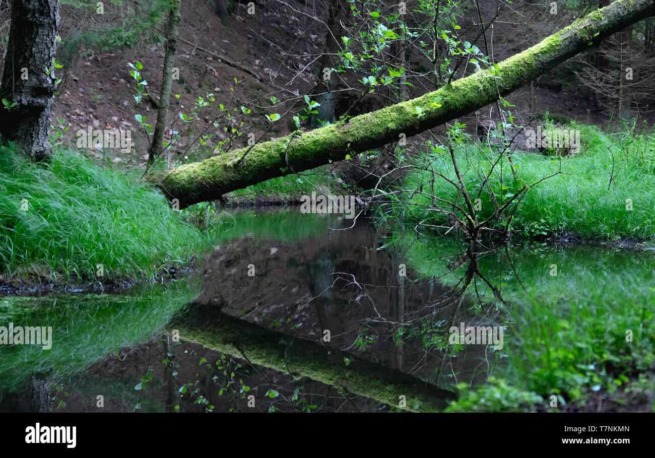 Velka bela hi-res stock photography and images - Alamy