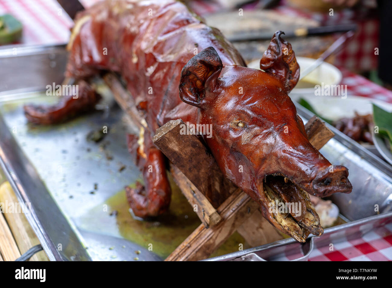 Roasted pig on the traditional barbecue. Grilled pig on the market of ...