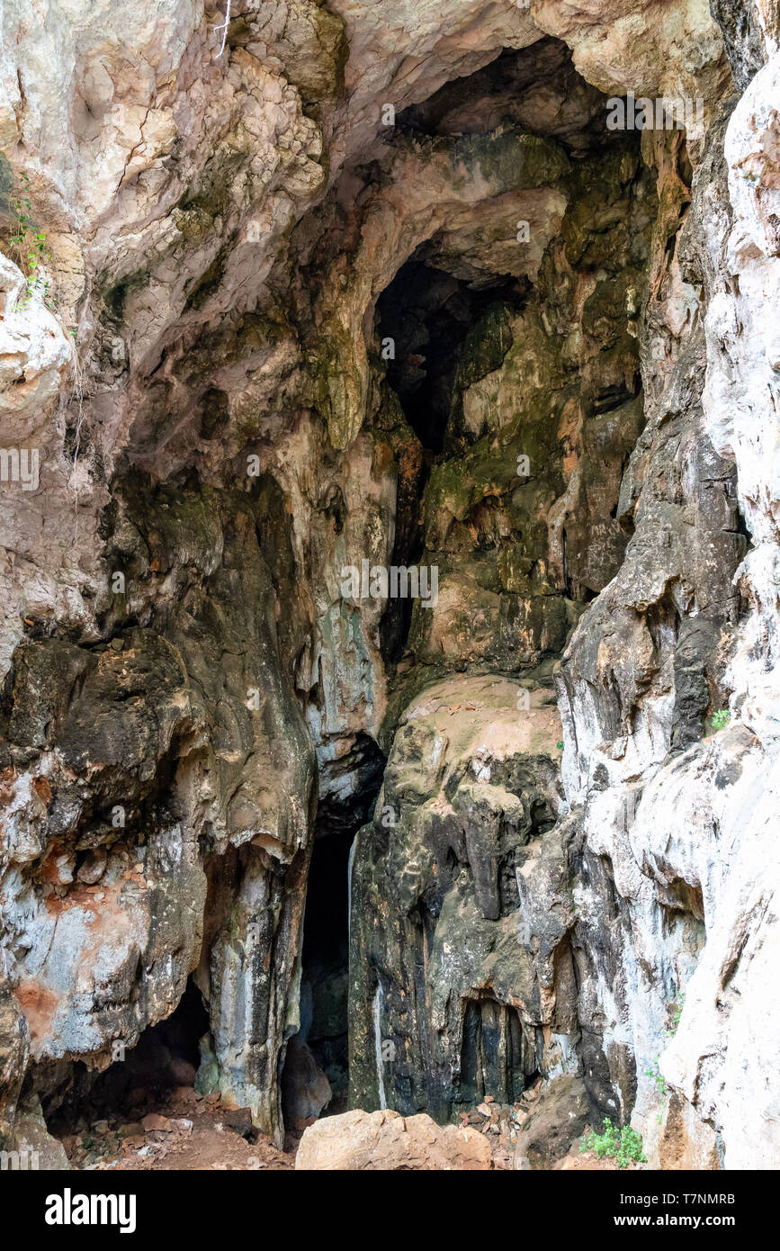 Gamell hi-res stock photography and images - Alamy