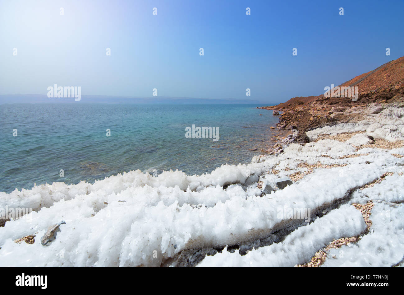 Israel dead hi-res stock photography and images - Alamy