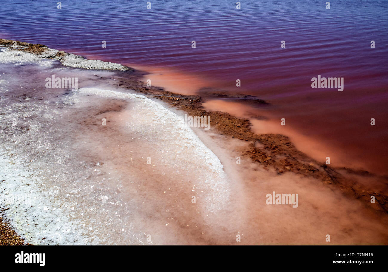 Laguna Salada in Torrevieja, Spain. Pink Salted lake. Salinas Natural ...