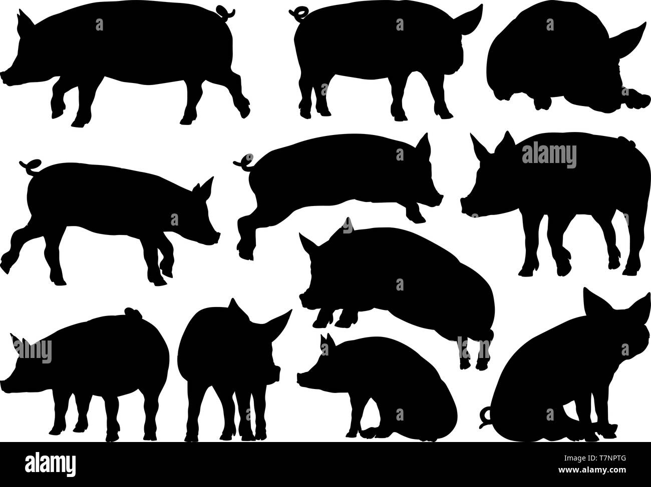 Animal art set Black and White Stock Photos & Images - Alamy