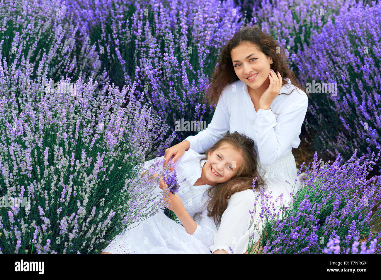 girls are in the lavender flower field, beautiful summer landscape ...