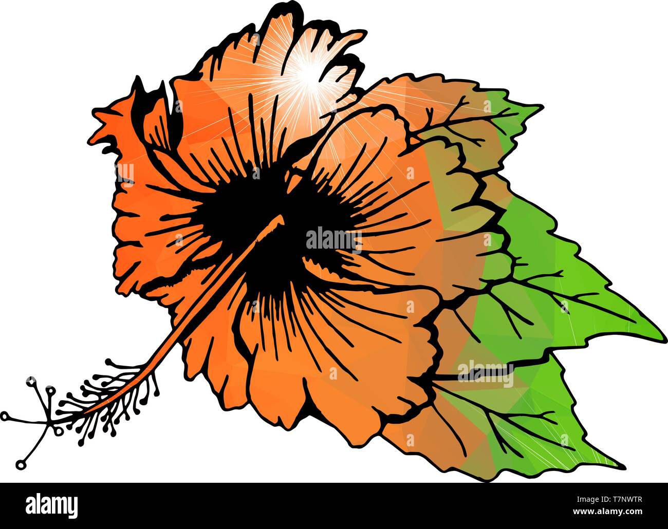 Hibiscus flower with leaves Stock Vector Image & Art - Alamy