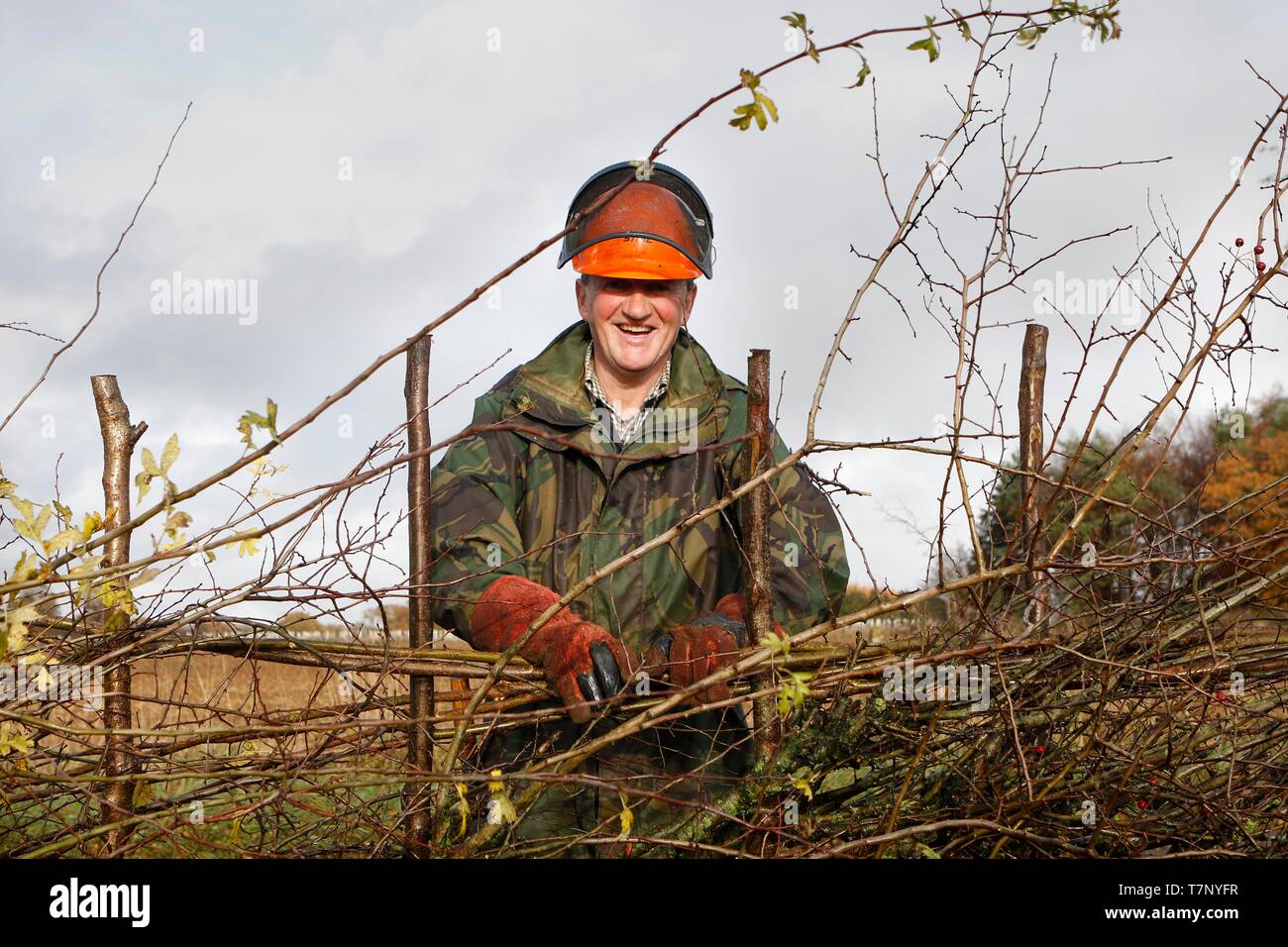 Hefin hi-res stock photography and images - Alamy