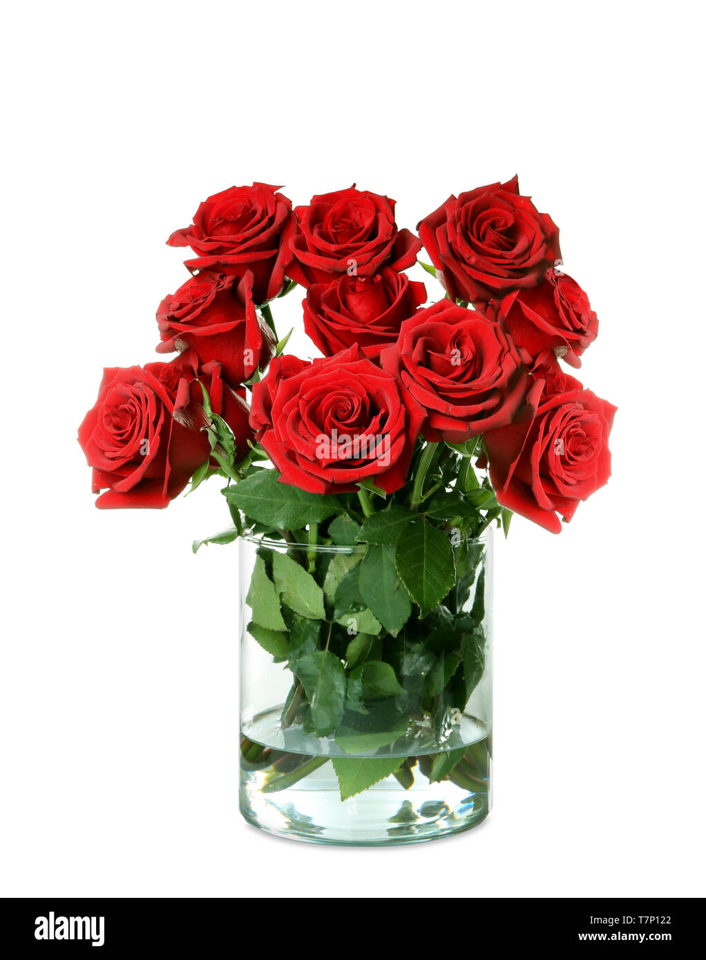 Vase with beautiful roses on white background Stock Photo - Alamy