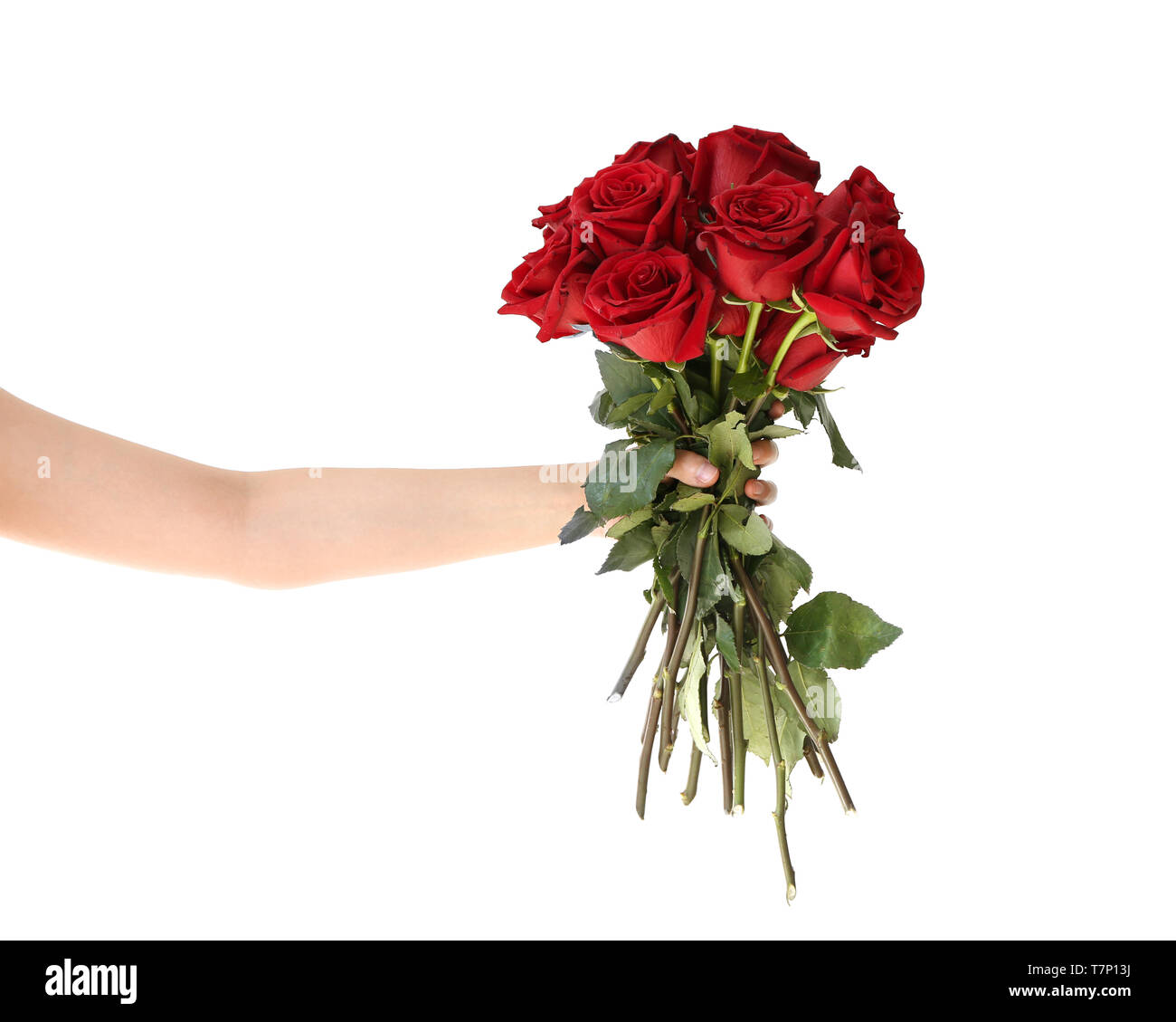 Female hand holding beautiful roses on white background Stock Photo - Alamy