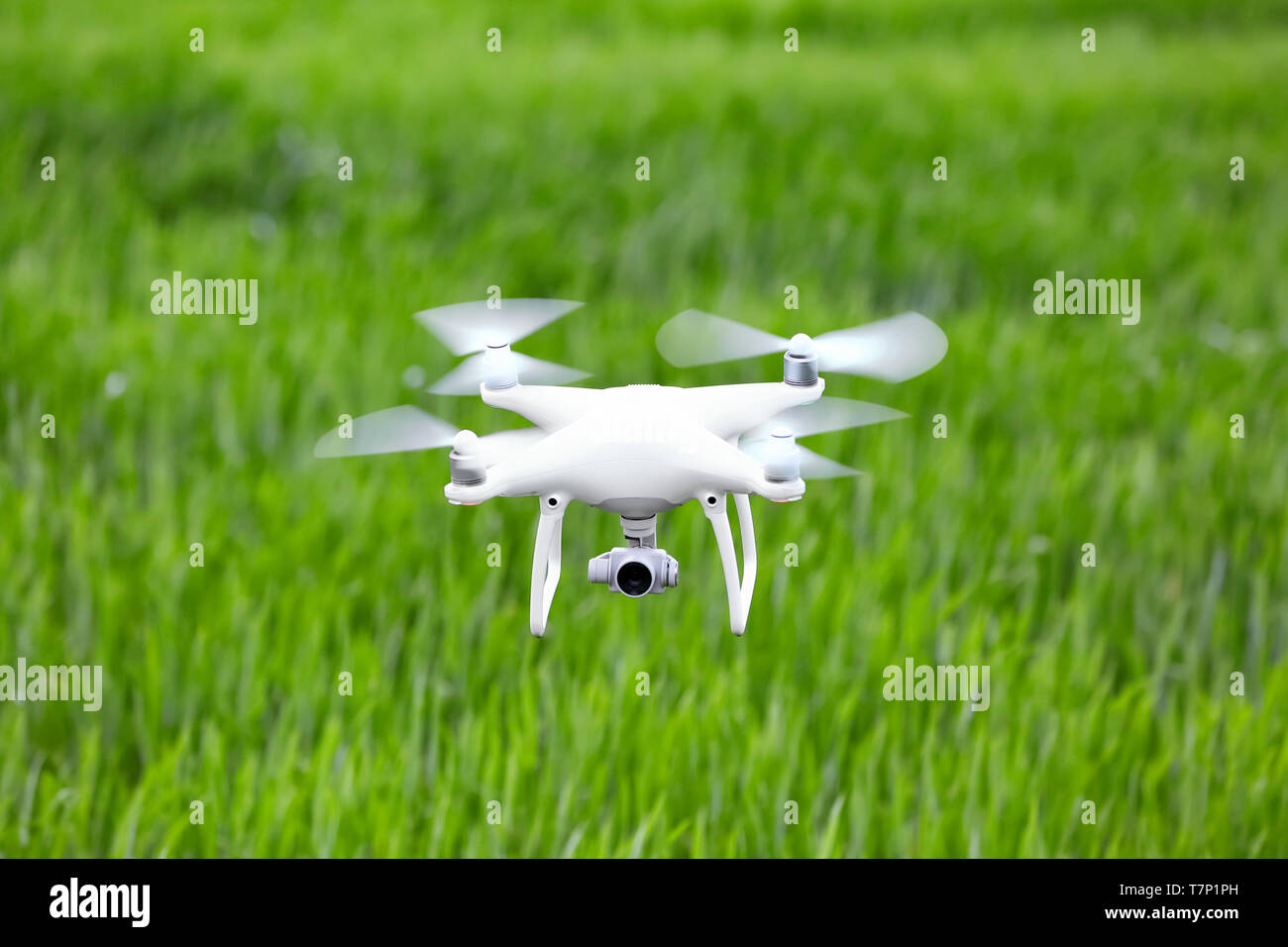 Flying quadcopter over grass hi-res stock photography and images - Alamy
