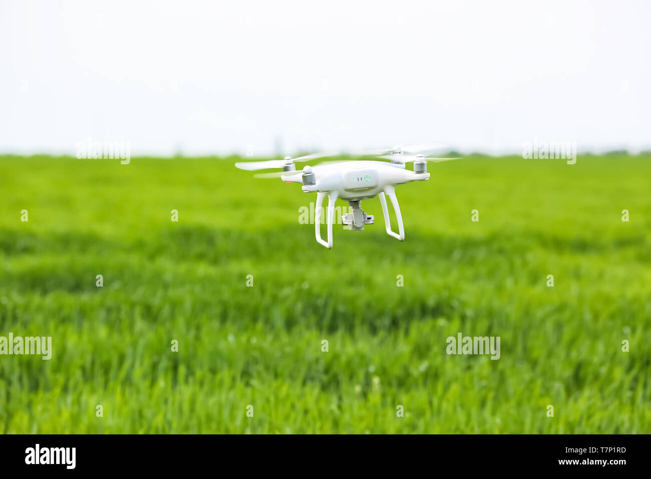 Modern quadcopter flying over field Stock Photo - Alamy