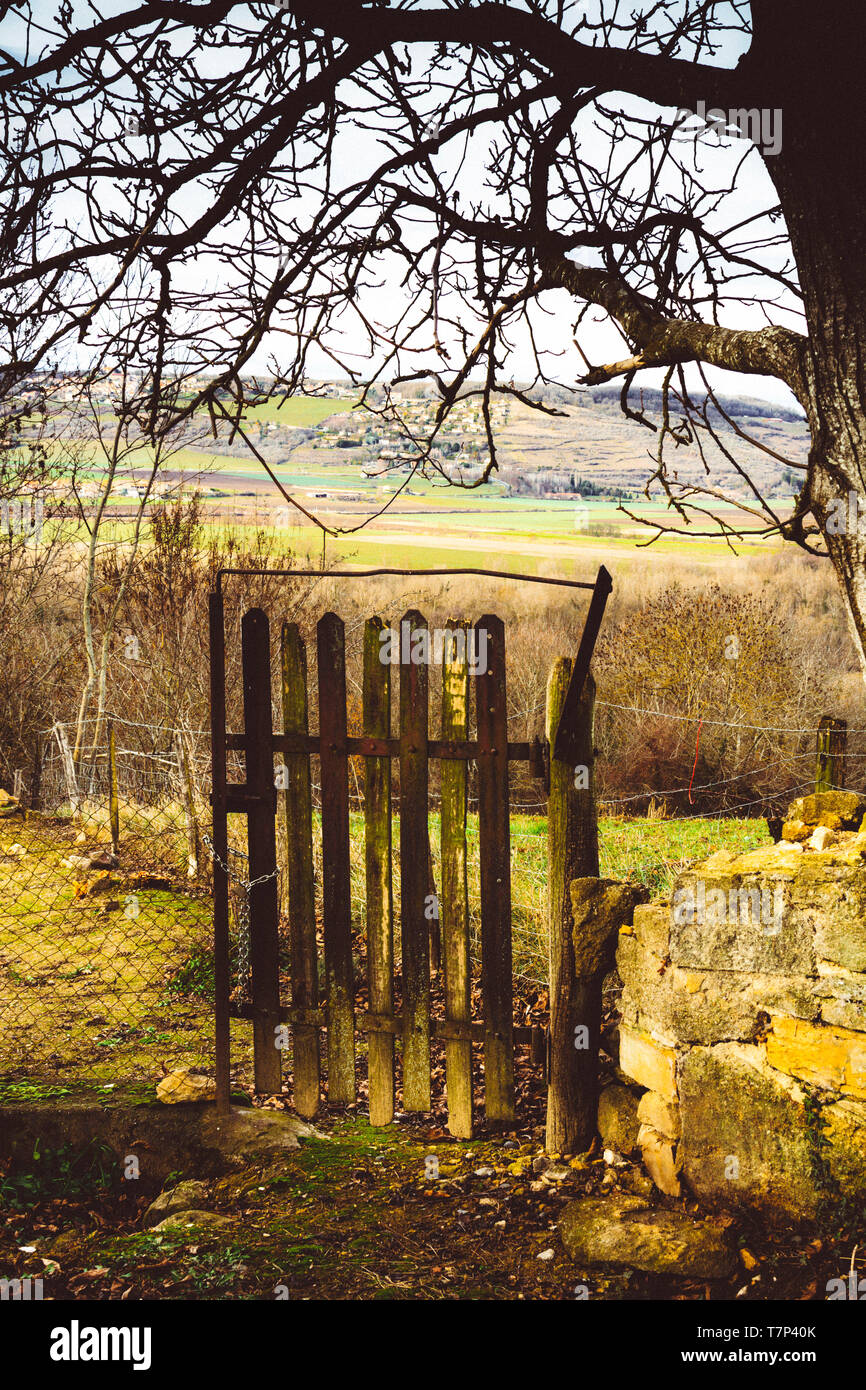 Wooden gate under a bare tree Stock Photo - Alamy