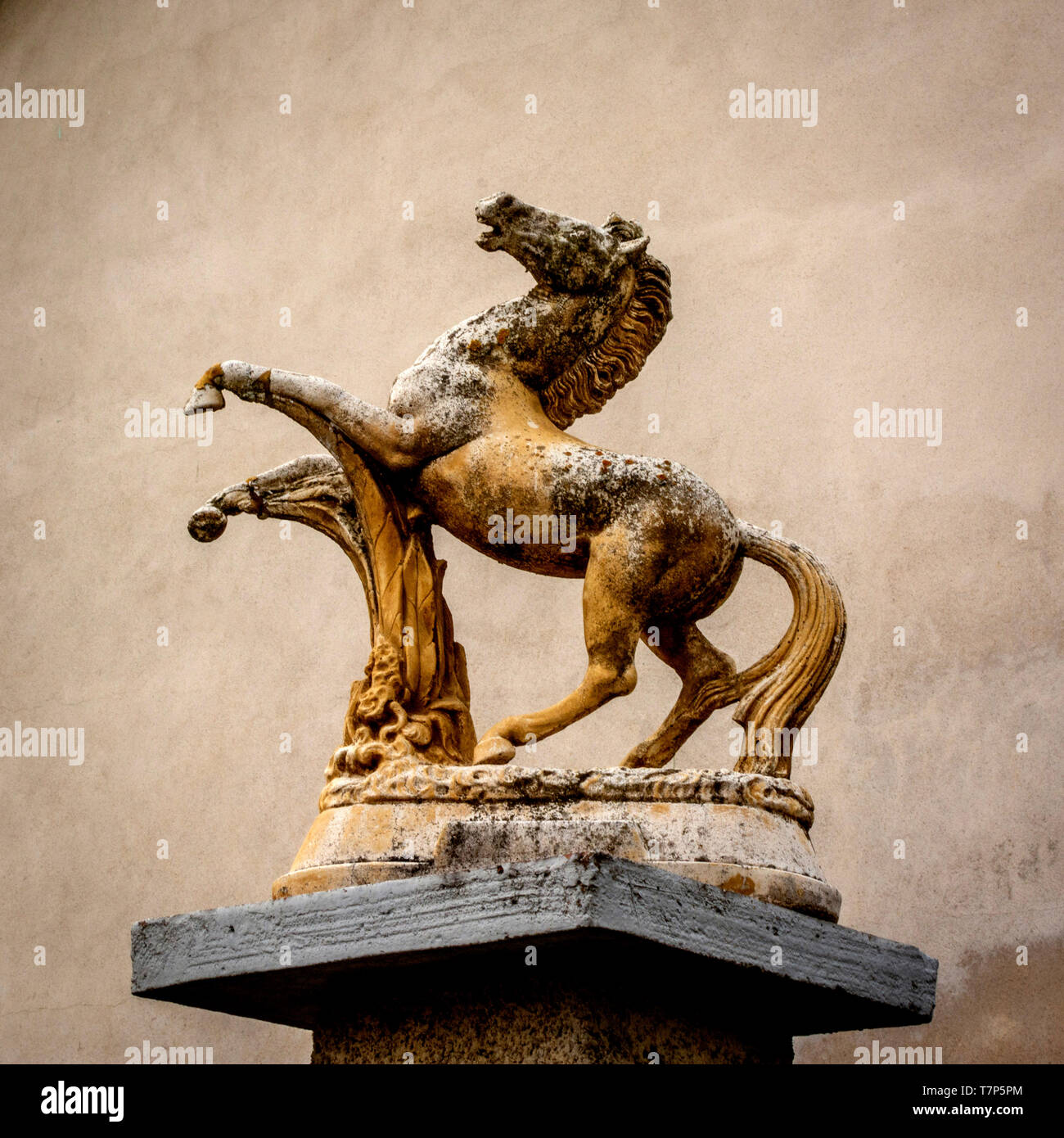 Sculpture On Pedestal High Resolution Stock Photography and Images - Alamy