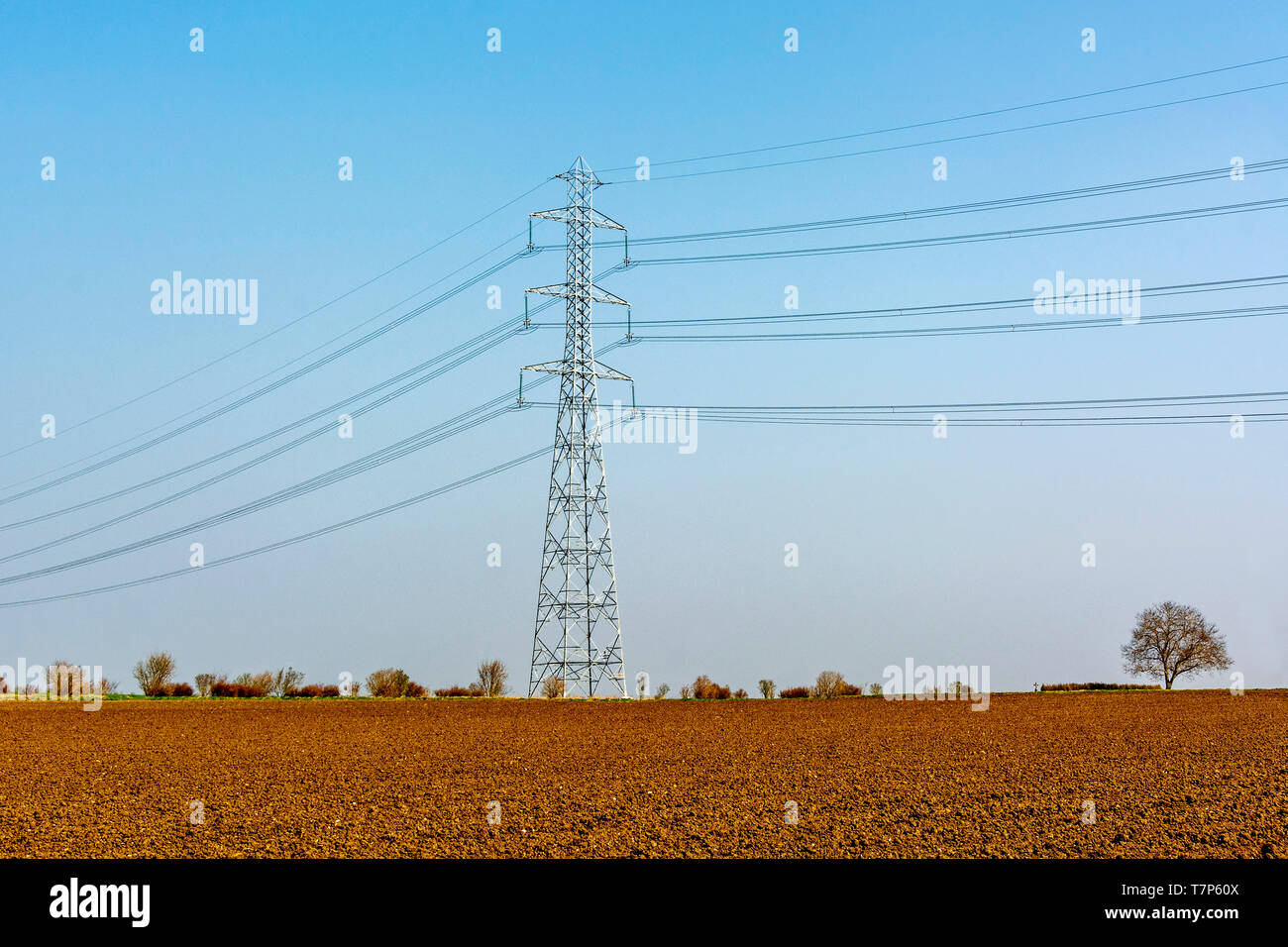 Power poles and high voltage lines hi-res stock photography and images ...