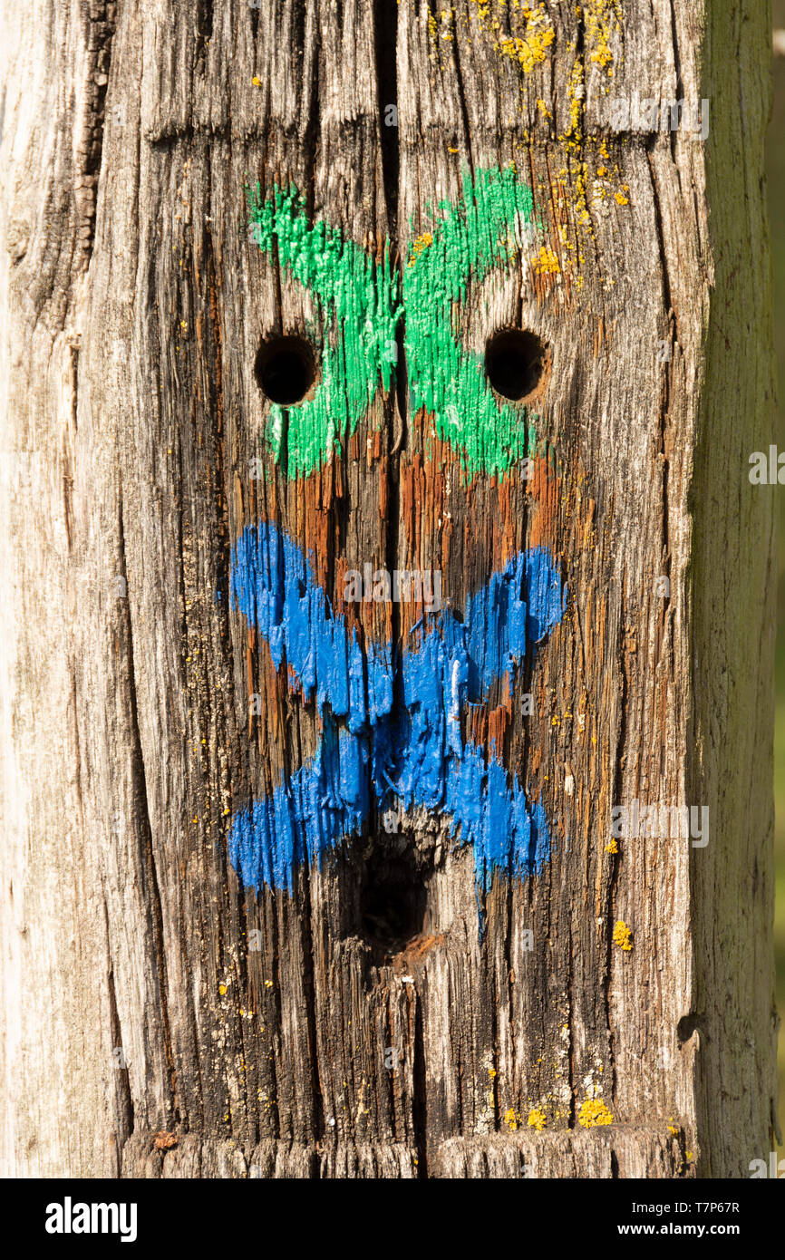 Trunk image hi-res stock photography and images - Alamy