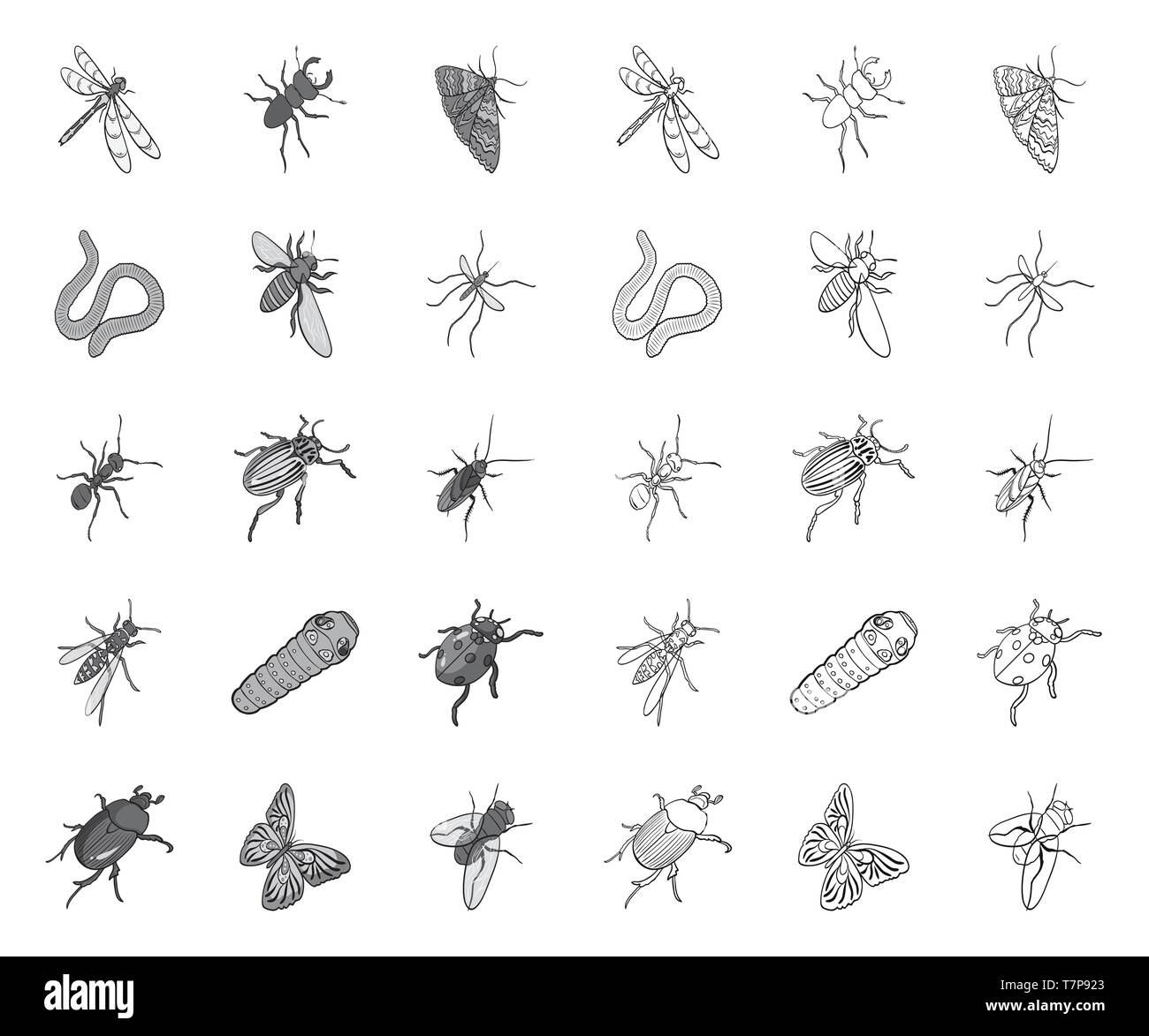 Mono wasp hi-res stock photography and images - Alamy