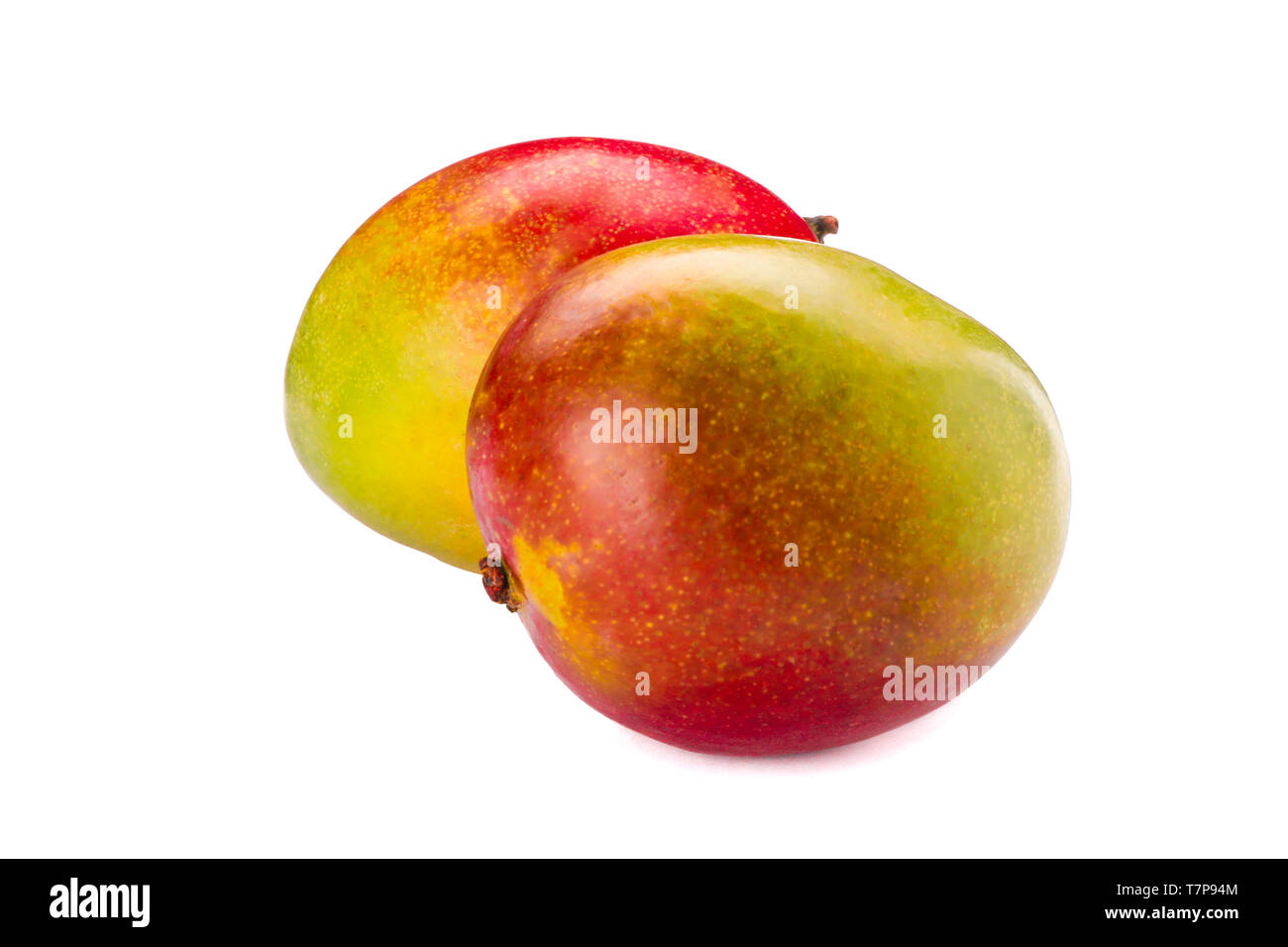 Fresh tropical mangoes isolated on white background Stock Photo - Alamy