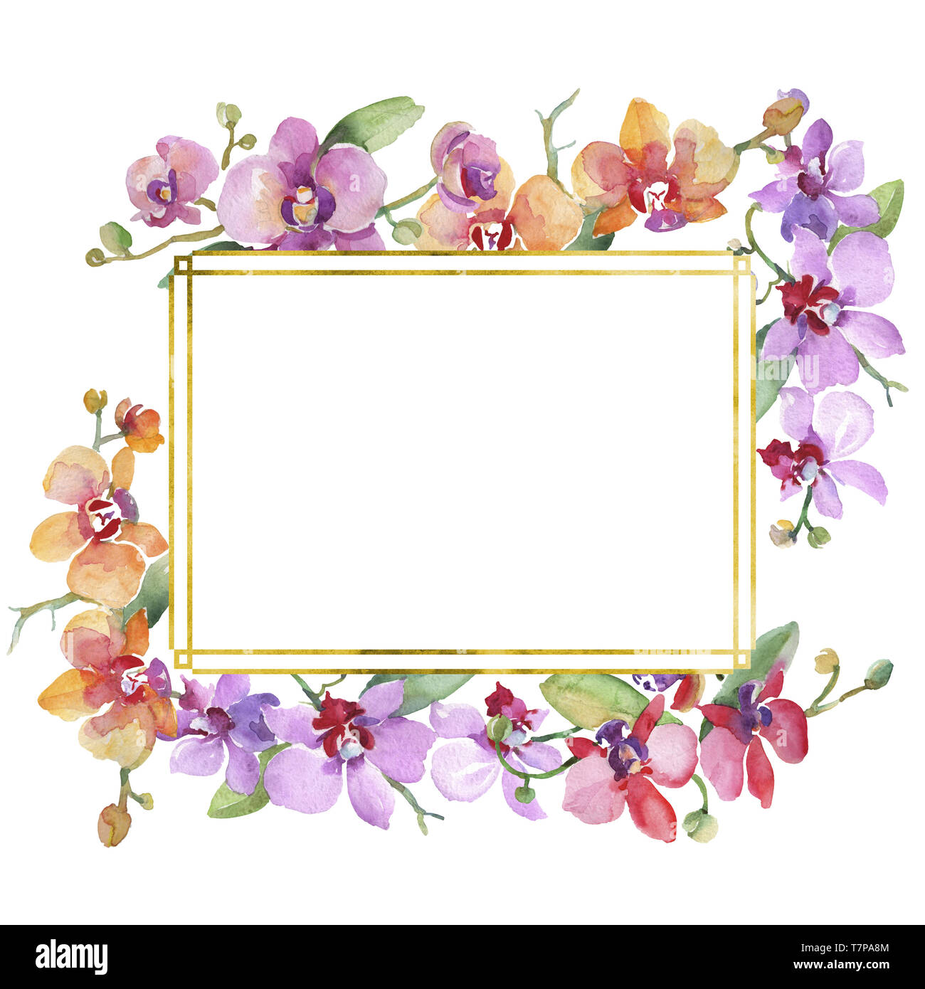 Orchid bouquets floral botanical flowers. Watercolor background ...