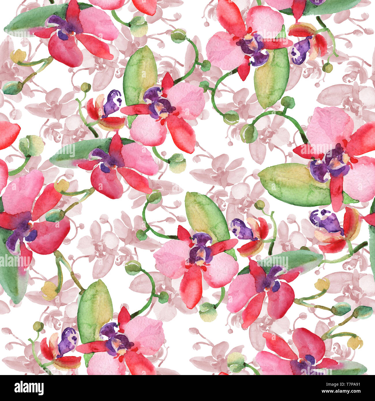 Orchid bouquets floral botanical flowers. Watercolor background ...