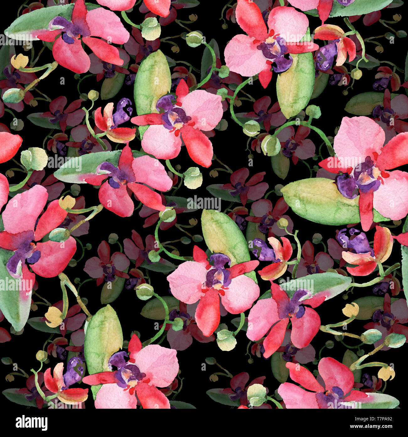 Orchid bouquets floral botanical flowers. Watercolor background ...