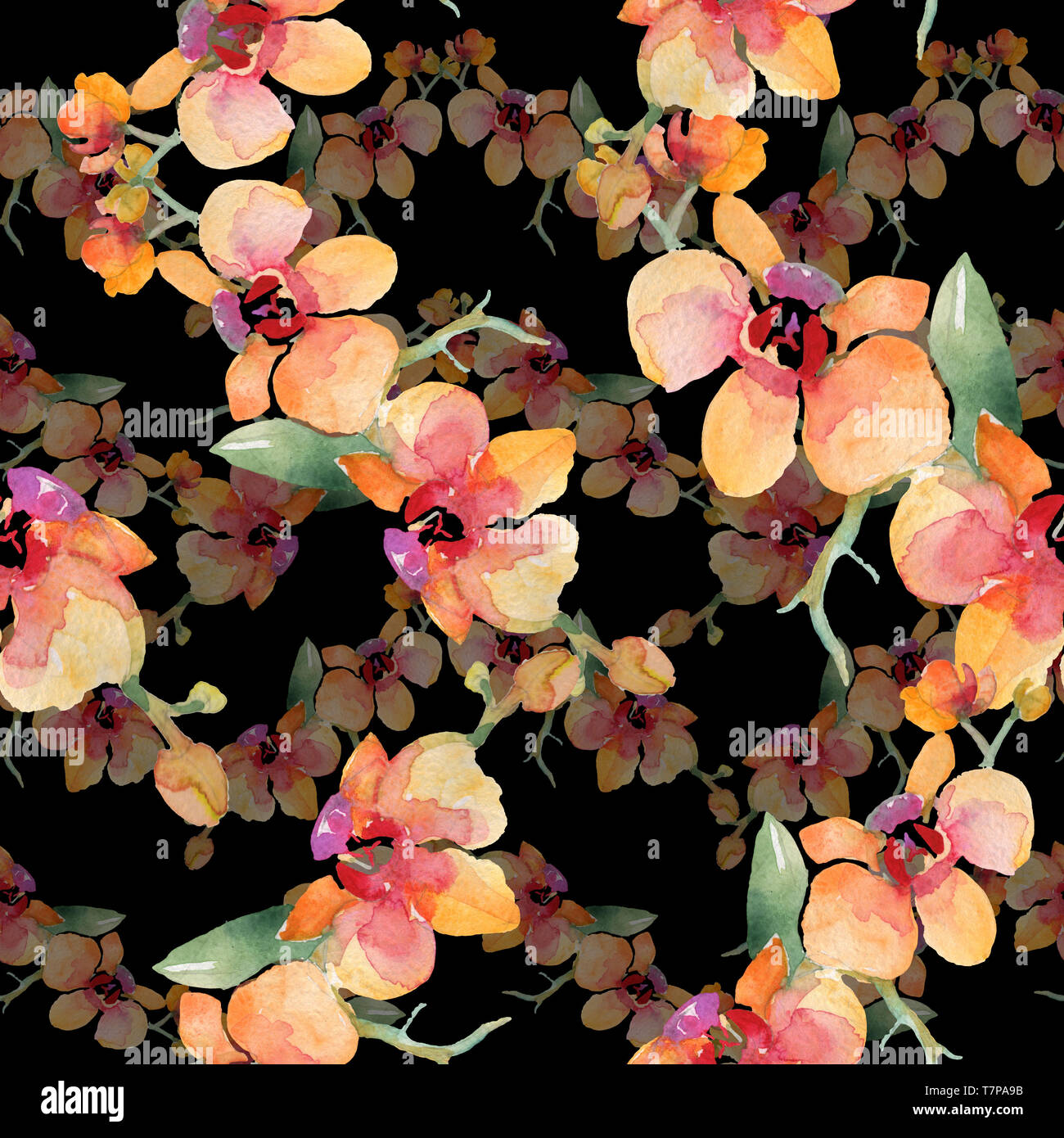 Orchid bouquets floral botanical flowers. Watercolor background ...