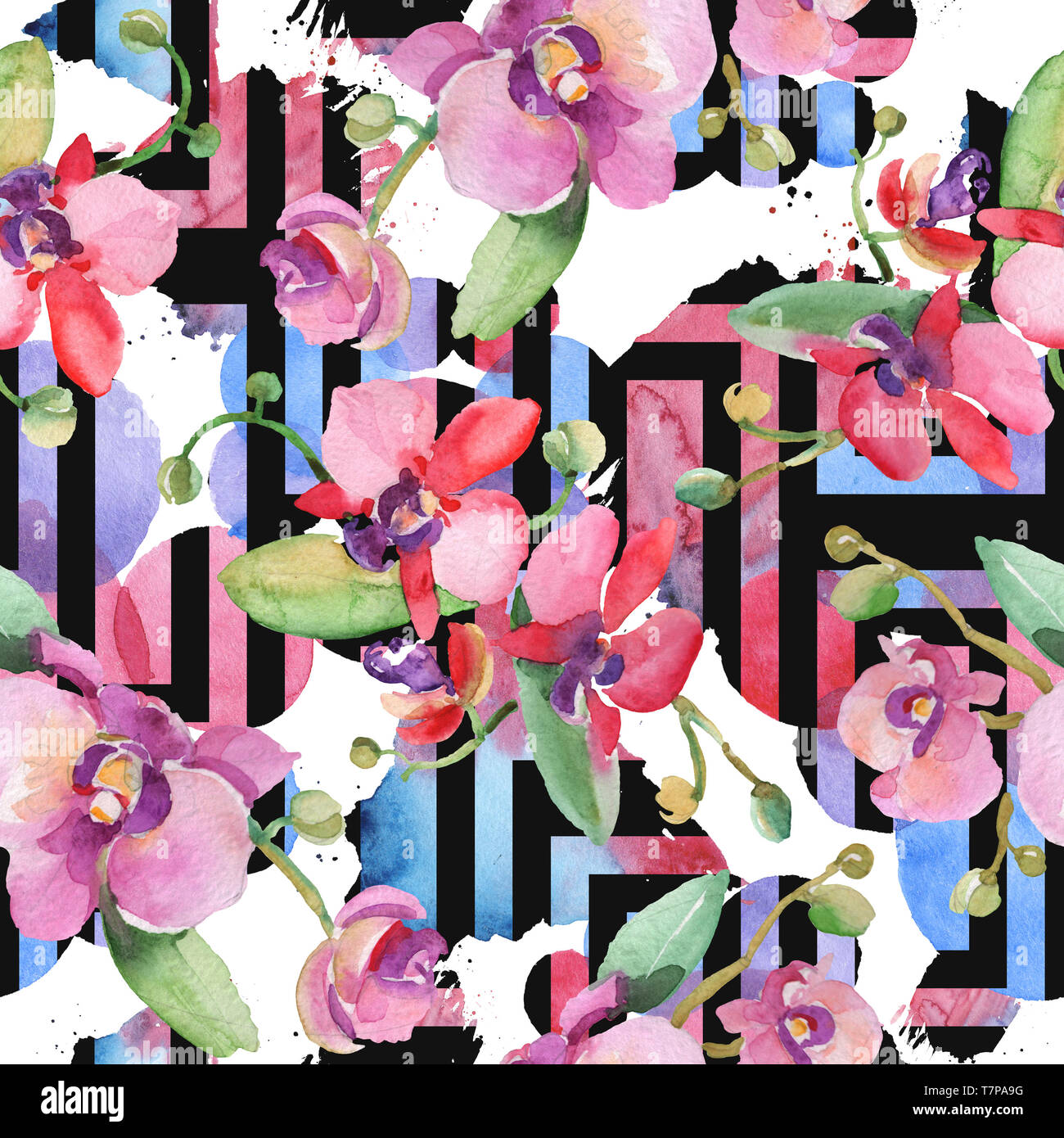 Orchid bouquets floral botanical flowers. Watercolor background ...