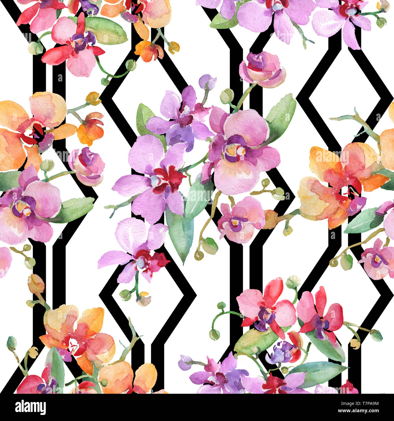 Orchid bouquets floral botanical flowers. Watercolor background ...