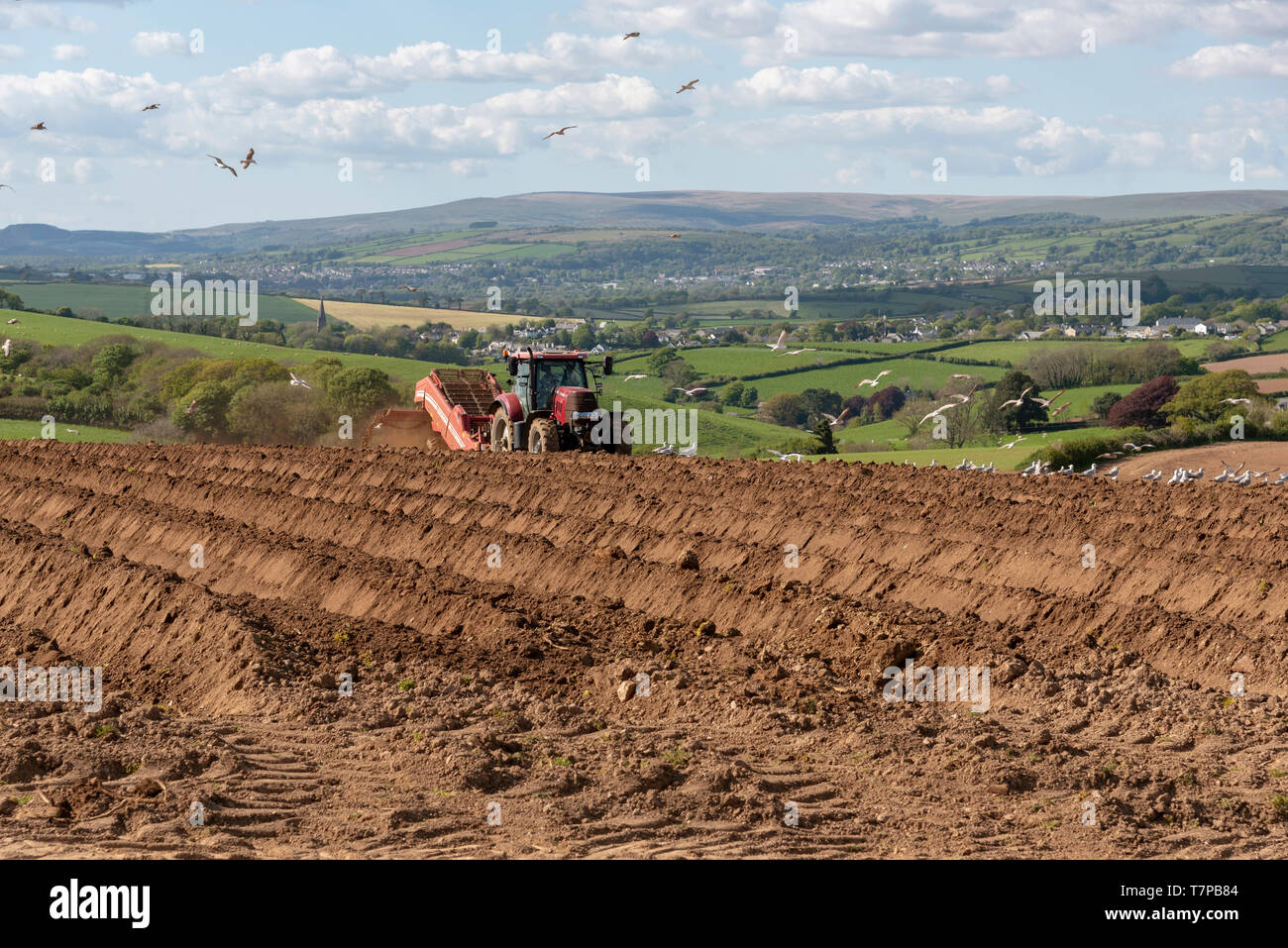 Farming Field Ridges Soil High Resolution Stock Photography and Images ...