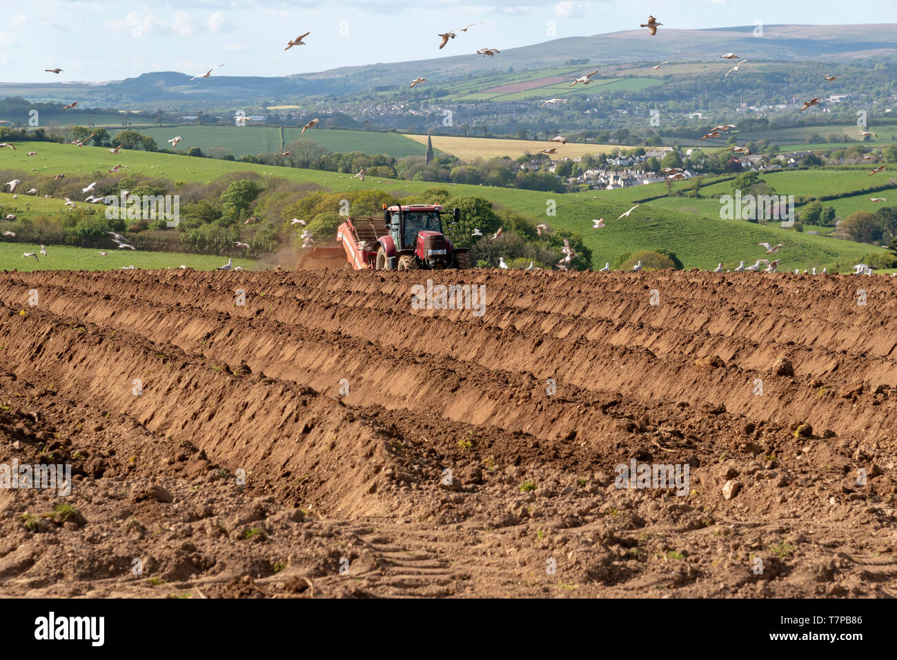 Modbury, South Devon, England, UK. May 2019. Destoner machine behind a ...